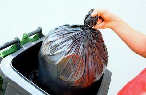 How to Keep Mice Out of the House: 8 Foolproof Tips