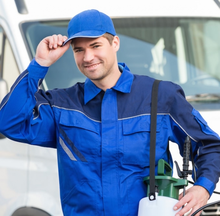 Blogue - Élite Gestion Parasitaire